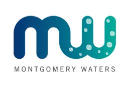 Celtic Spring Sparkling Mineral Water - Friars Pride