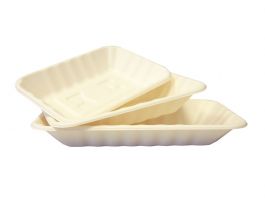 Bio Tray – Large 500